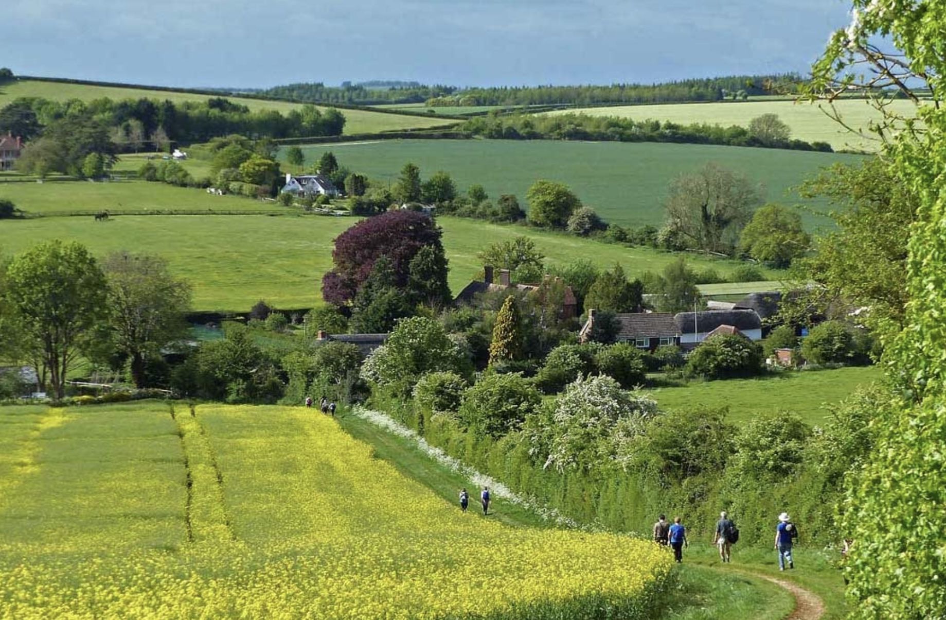 Southampton Group - Ramblers