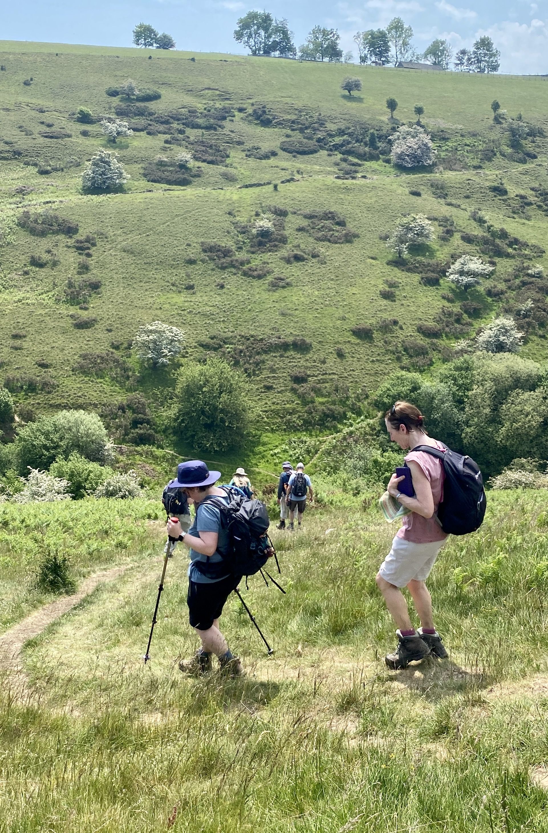 What we do - Ramblers