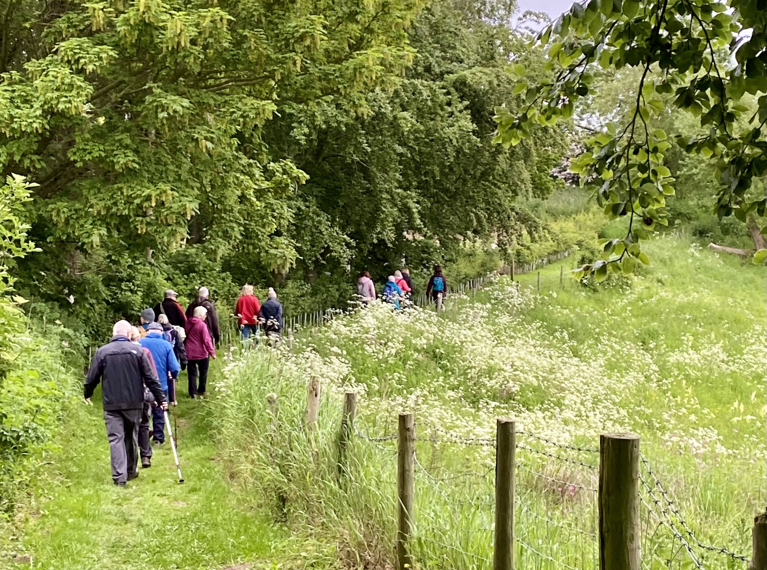 Boston Group - Ramblers