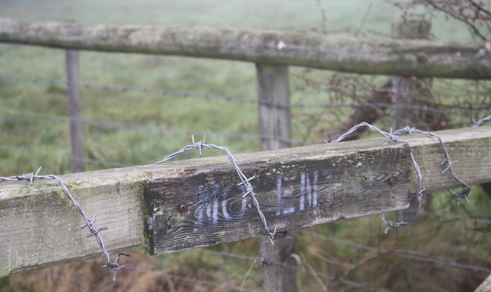 BBC finds nearly 32,000 places where paths are blocked in England and ...