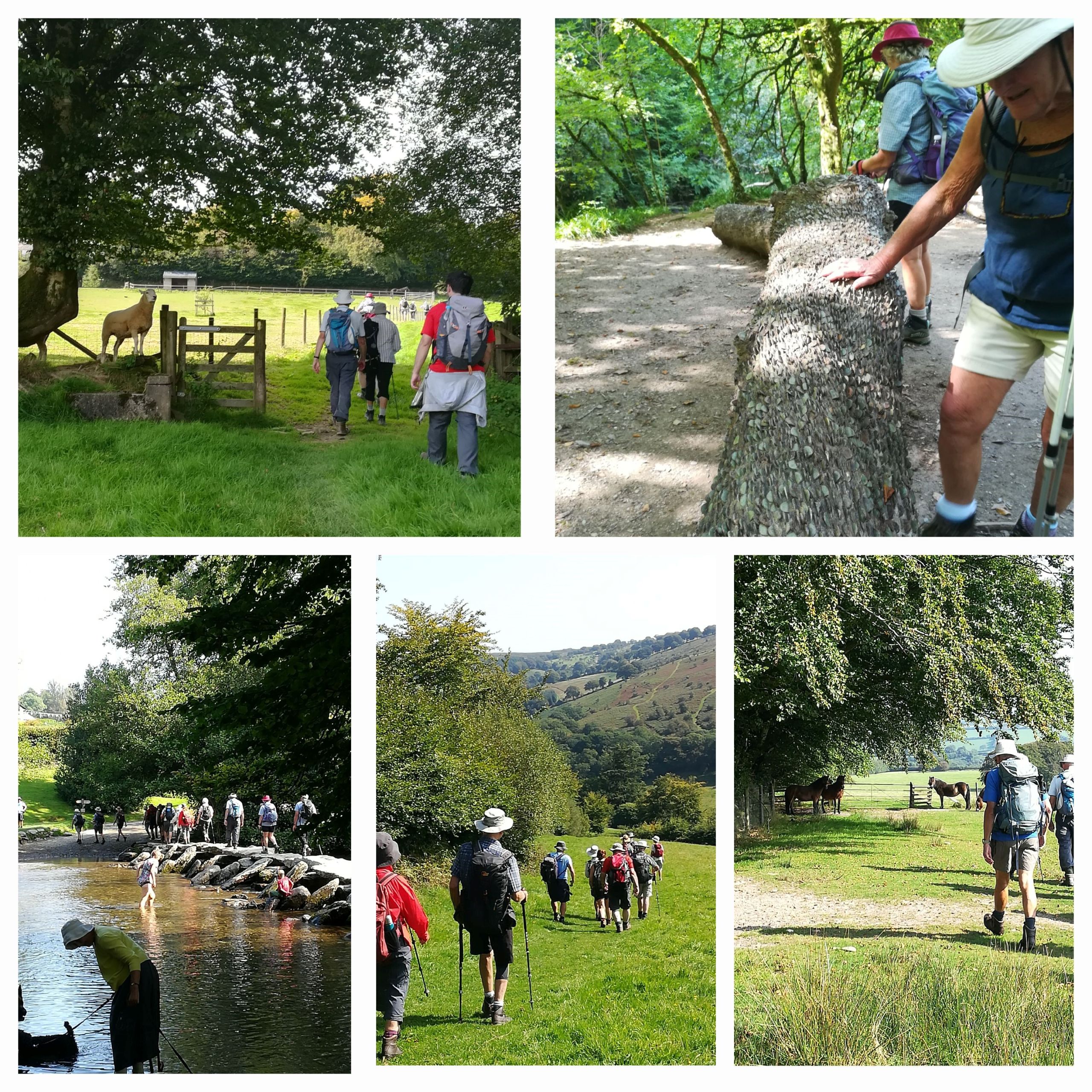 Exeter & District Group - Ramblers