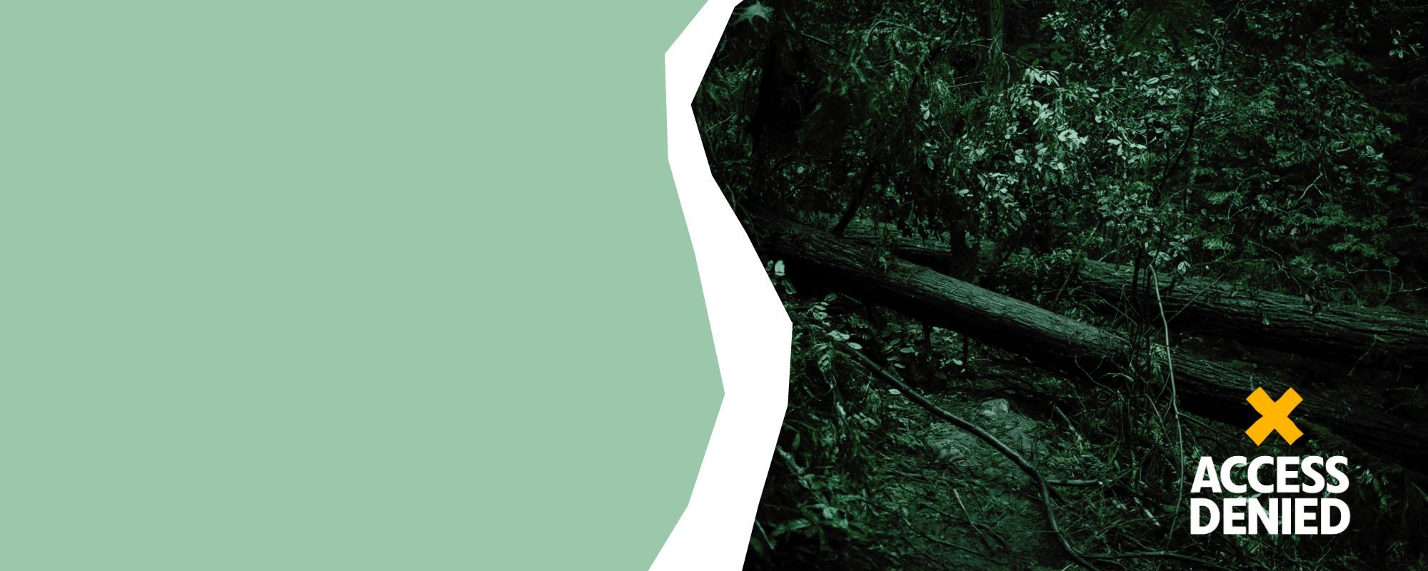 The Ramblers: Britain’s walking charity